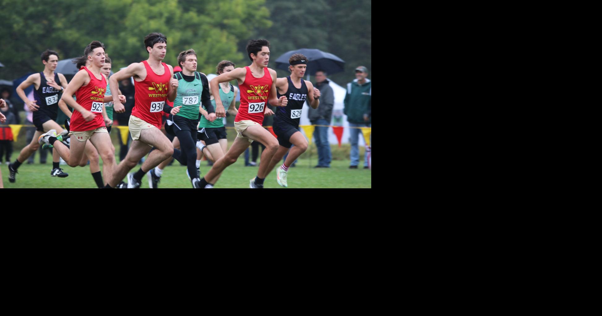 PREP CROSS COUNTRY: Regionals set to take place at New Prairie Saturday ...