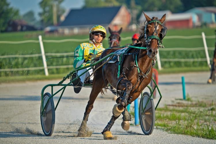 Nappanee Raceway saw some equine action Friday | Sports | goshennews.com