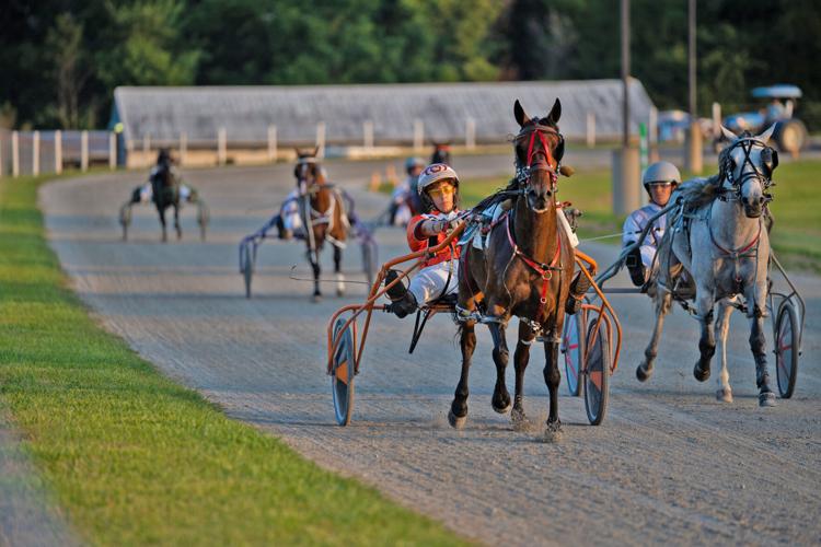 Nappanee Raceway saw some equine action Friday | Sports | goshennews.com