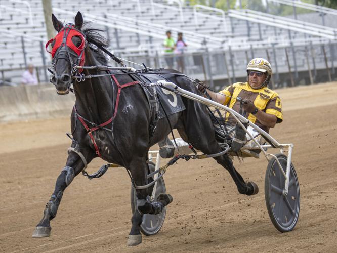 PURSUIT OF 100: Coy claims milestone win, largest Tuesday harness ...