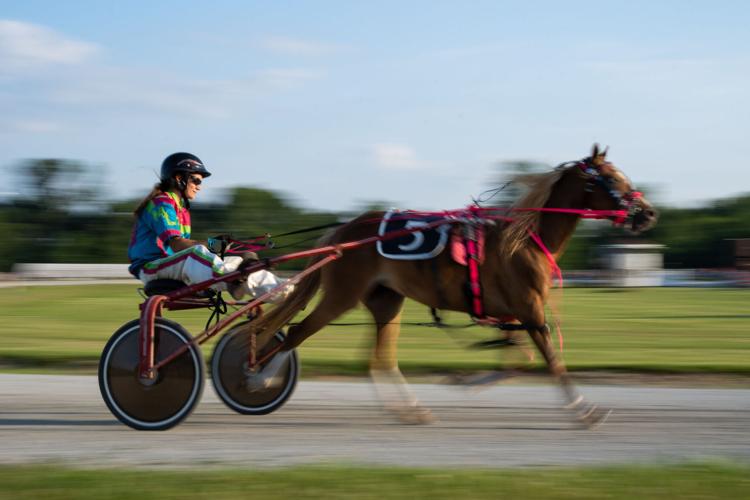 Nappanee Raceway saw some equine action Friday | Sports | goshennews.com
