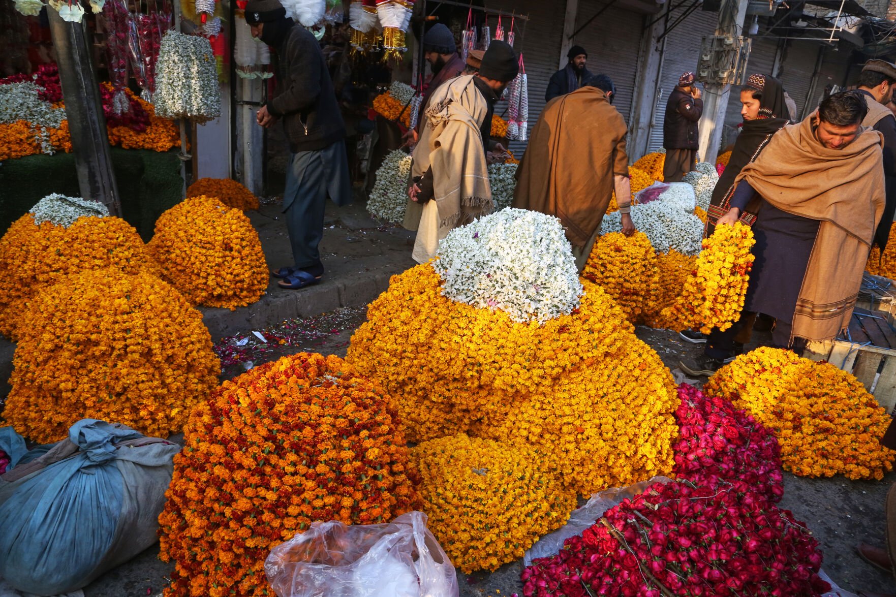 Pakistan Daily Life | National News | goshennews.com
