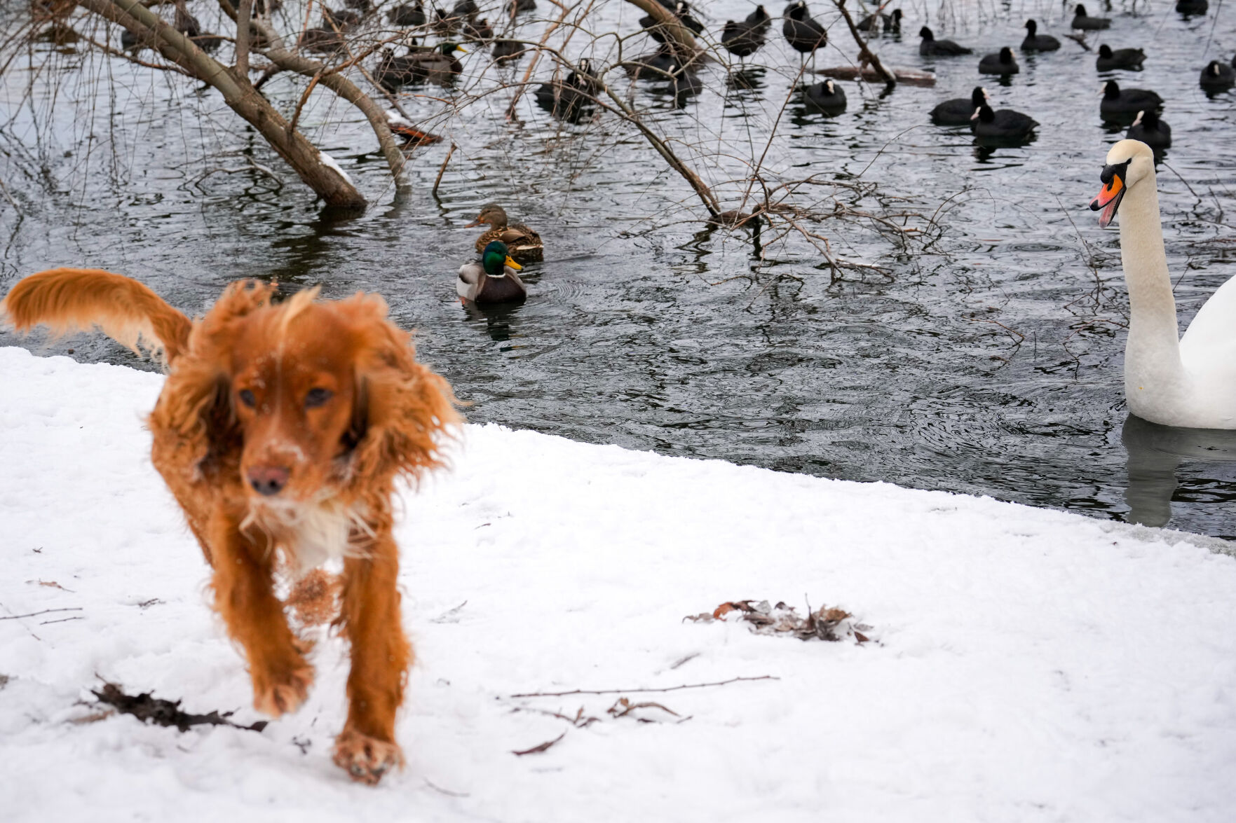 Romania Weather | National News | goshennews.com