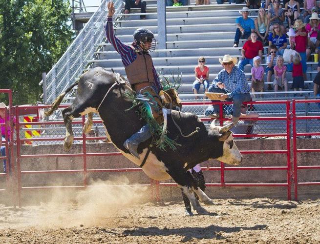 ELKHART COUNTY 4-H FAIR: Behind the scenes with a rodeo clown | Local ...