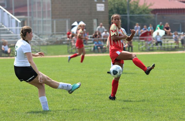 PREP GIRLS SOCCER: Westview shuts out Wawasee in Ward's debut | Sports ...