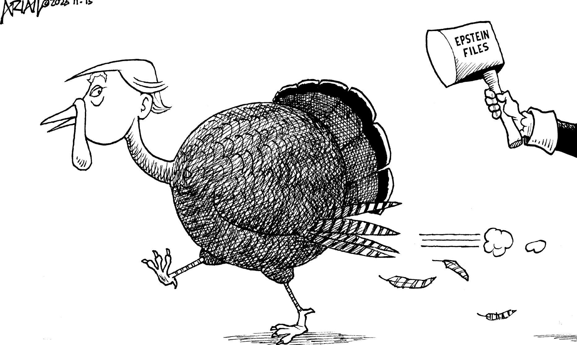 The latest editorial cartoon | Opinion | goshennews.com