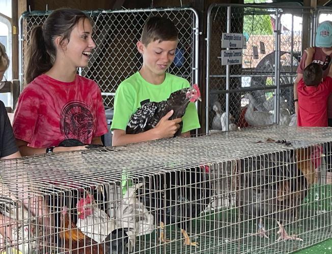 Siblings take top spots during rooster crowing contest | News ...