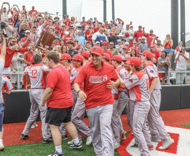 PREP BASEBALL: Goshen shocks top-ranked Penn, punches ticket to ...