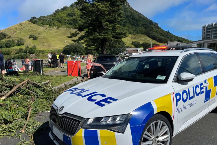Rescue efforts underway after landslides hit New Zealand campground and ...