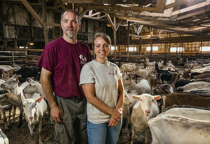 THANK A FARMER: Goshen goat herd supplies milk for growing cheese ...