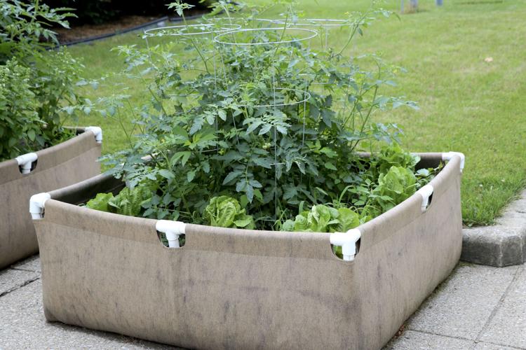 Goshen Health opens garden project | News | goshennews.com