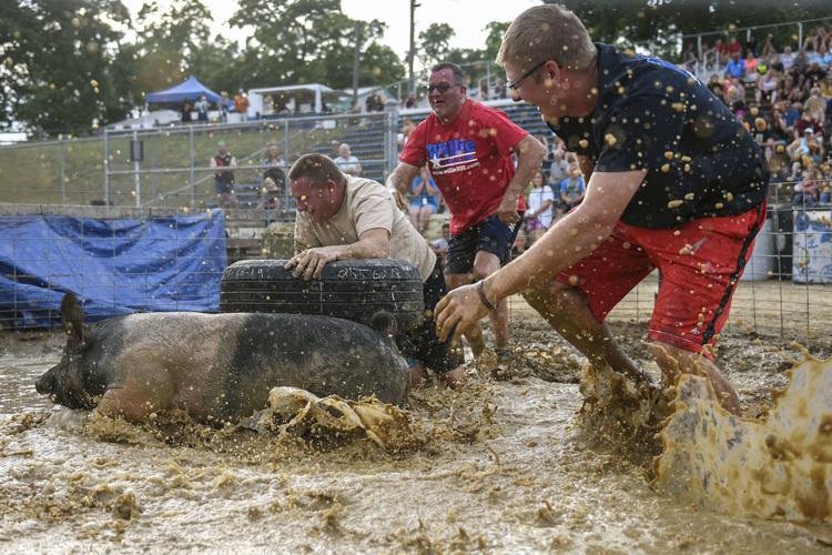 SLIDESHOW: Hog Wild! Kosciusko County Fair Pig Wrestling | Gallery ...
