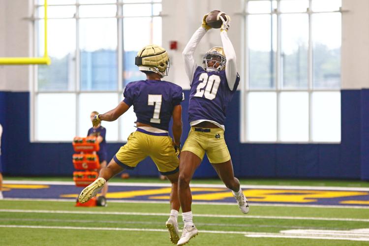 ND FOOTBALL: Morrison says he's 'healed' after offseason surgery ...