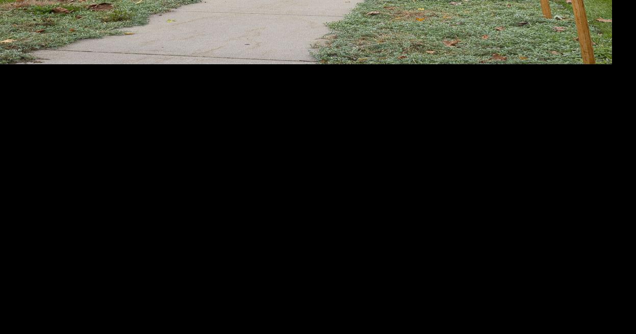 How to honor veterans this year | Saluting Veterans | goshennews.com