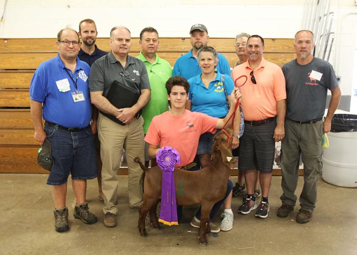 2018 Elkhart County 4-H Fair livestock auction | Multimedia ...