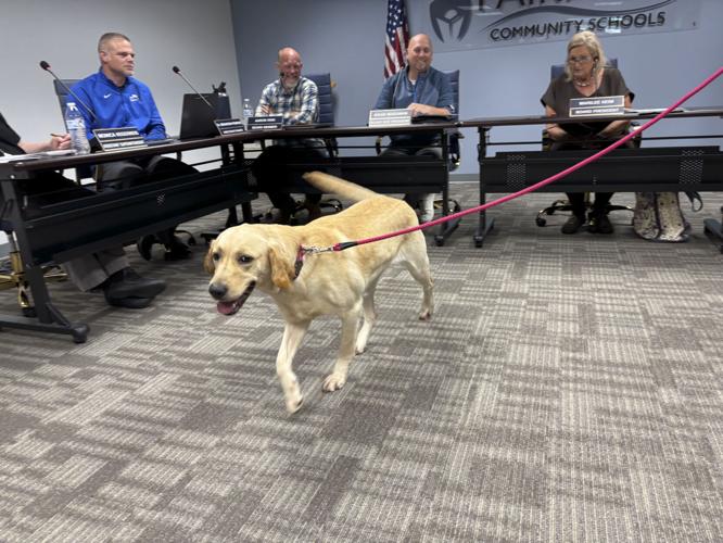 New coach, therapy dog introduced at Fairfield School Board | News ...