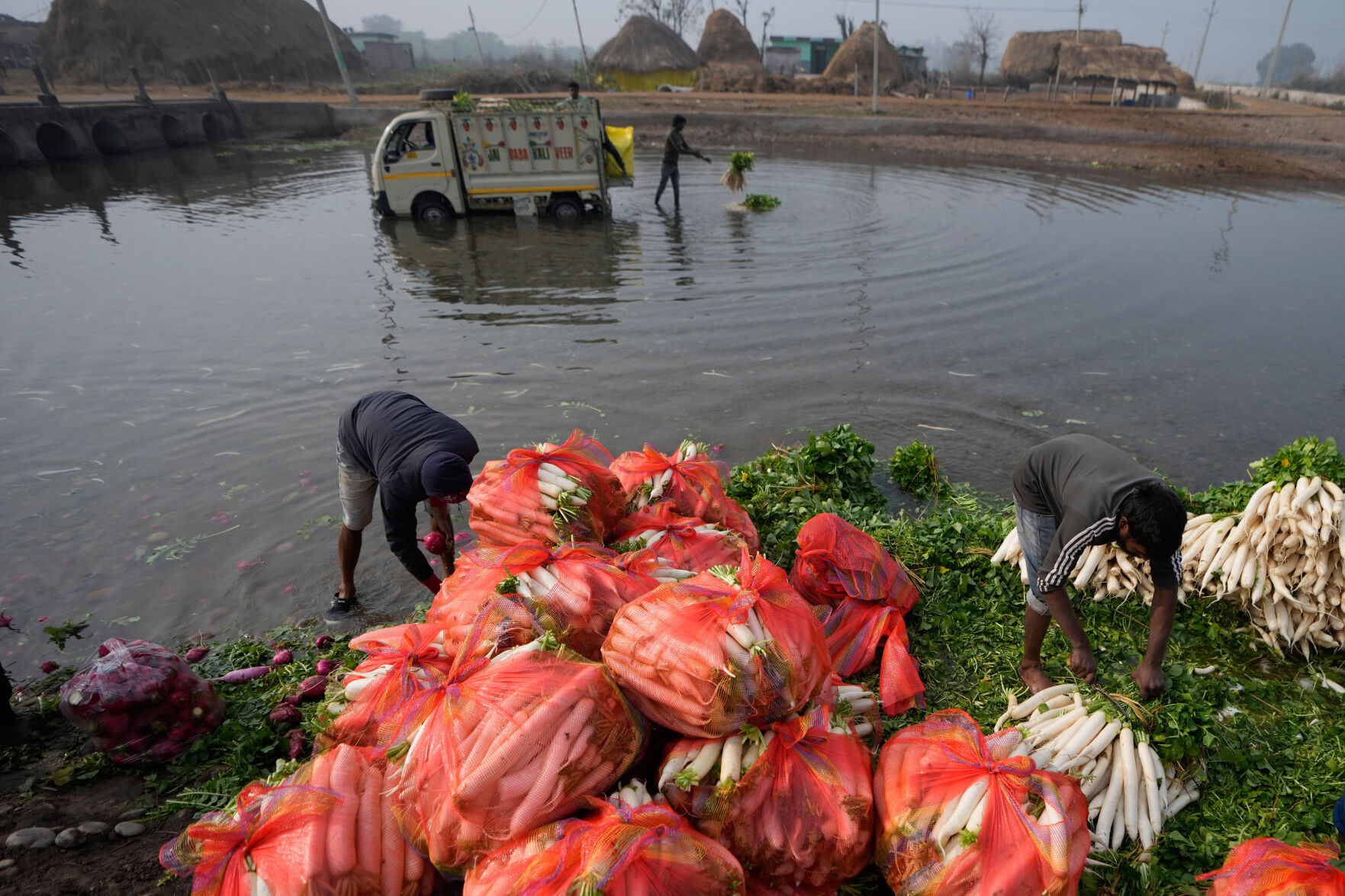 India Agriculture | National News | goshennews.com