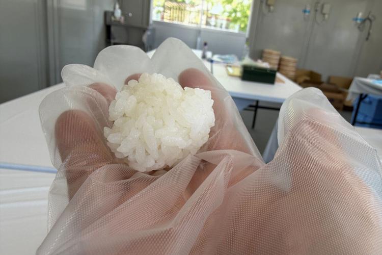 Once the preserve of elite chefs, sushi-making can be fun | National ...