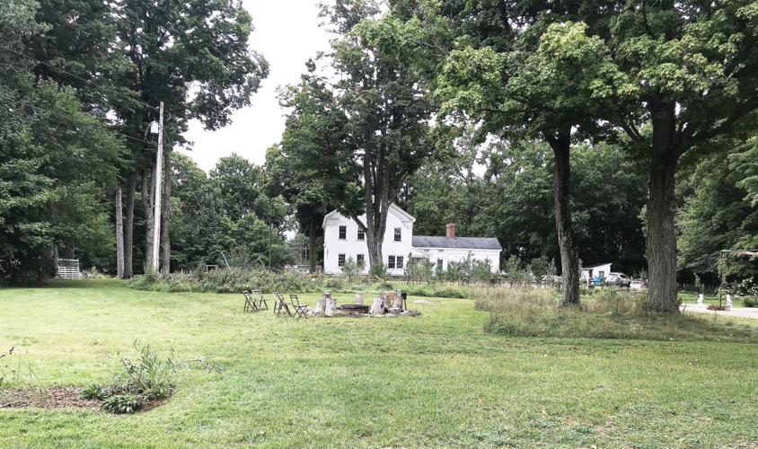 LOREN SHAUM: A tumultuous 2024 awaits | News | goshennews.com