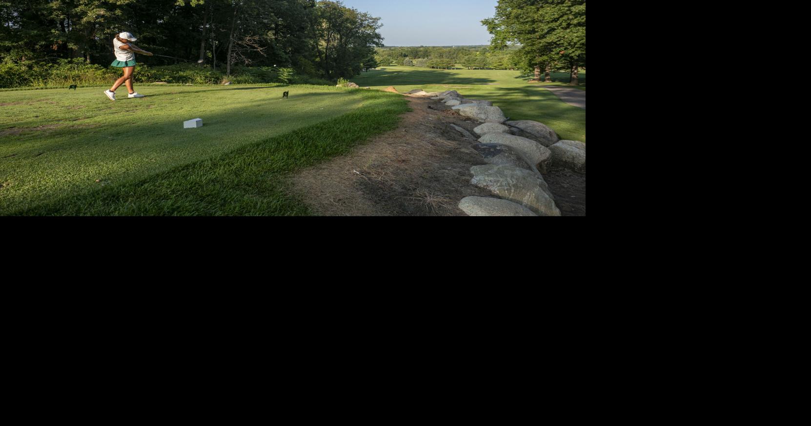 Girl's golf Sectionals set to begin for area teams this weekend ...