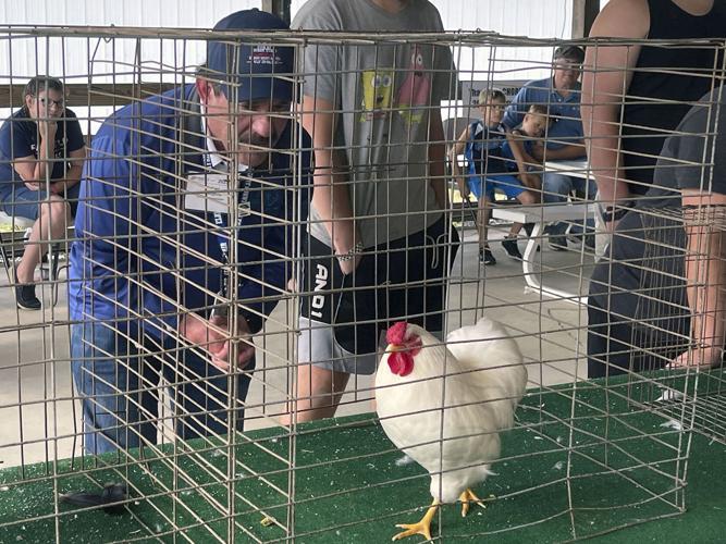 Siblings take top spots during rooster crowing contest | News ...