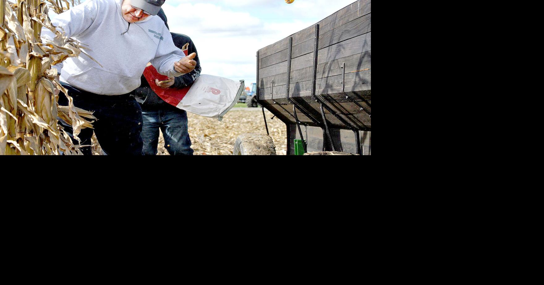 Statewide corn husking contest held in Nappanee | News | goshennews.com