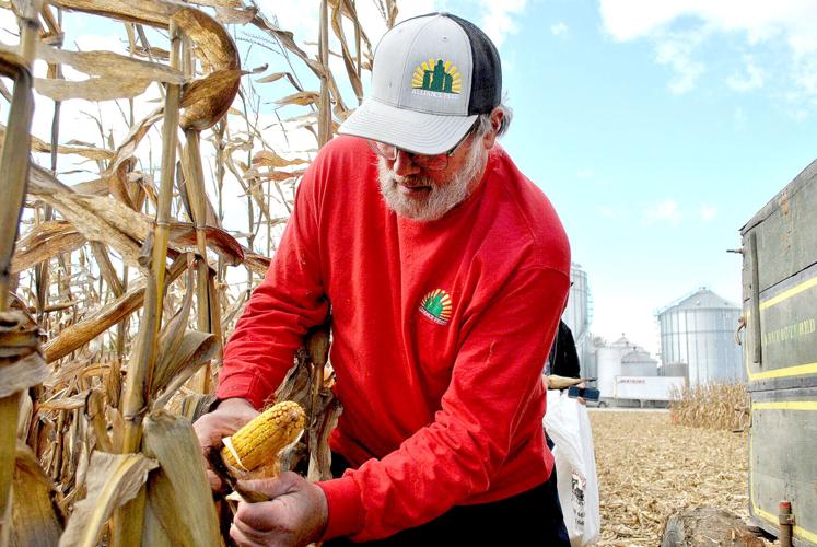 Statewide corn husking contest held in Nappanee | News | goshennews.com