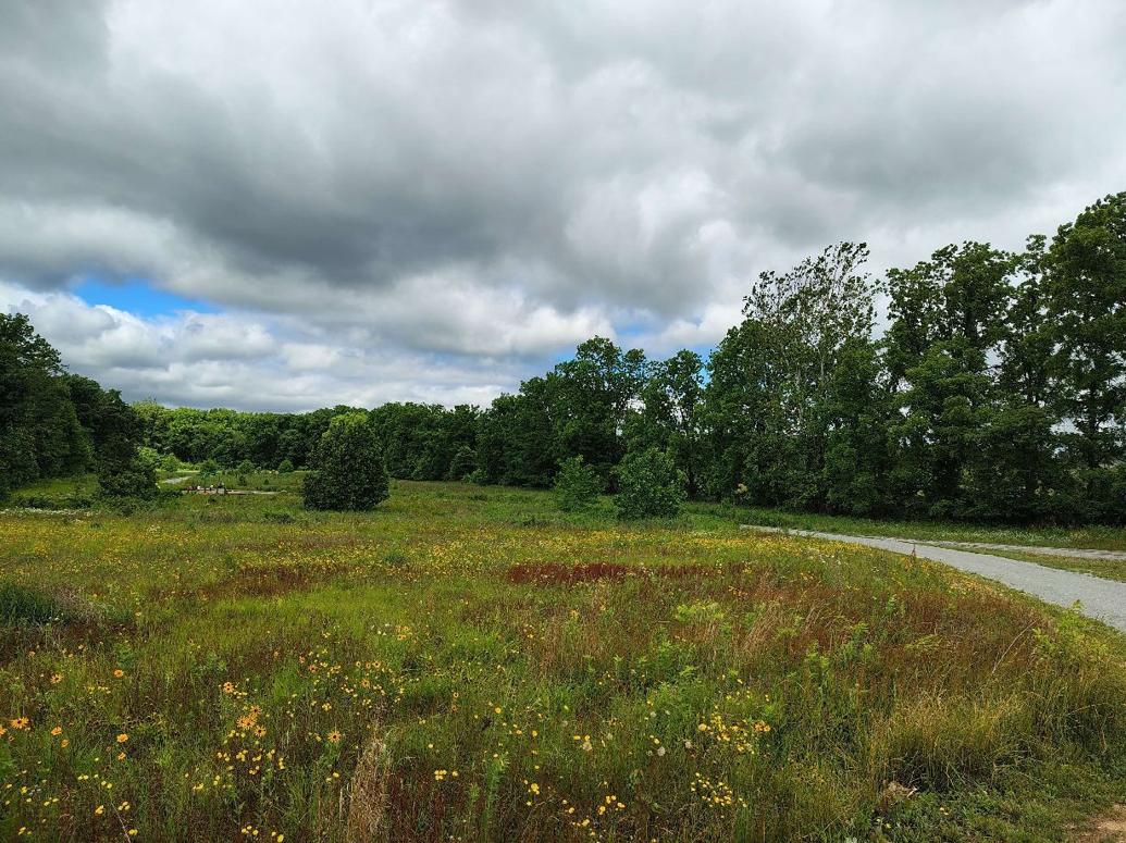 County to welcome new Middlebury-based park designed for chlidren's ...
