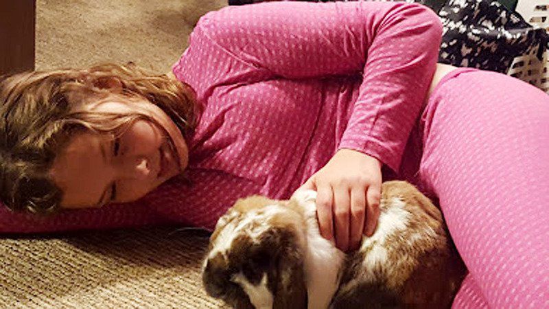 WHOLE FAMILY: Death of rabbit wounds family, gives mom a fright ...