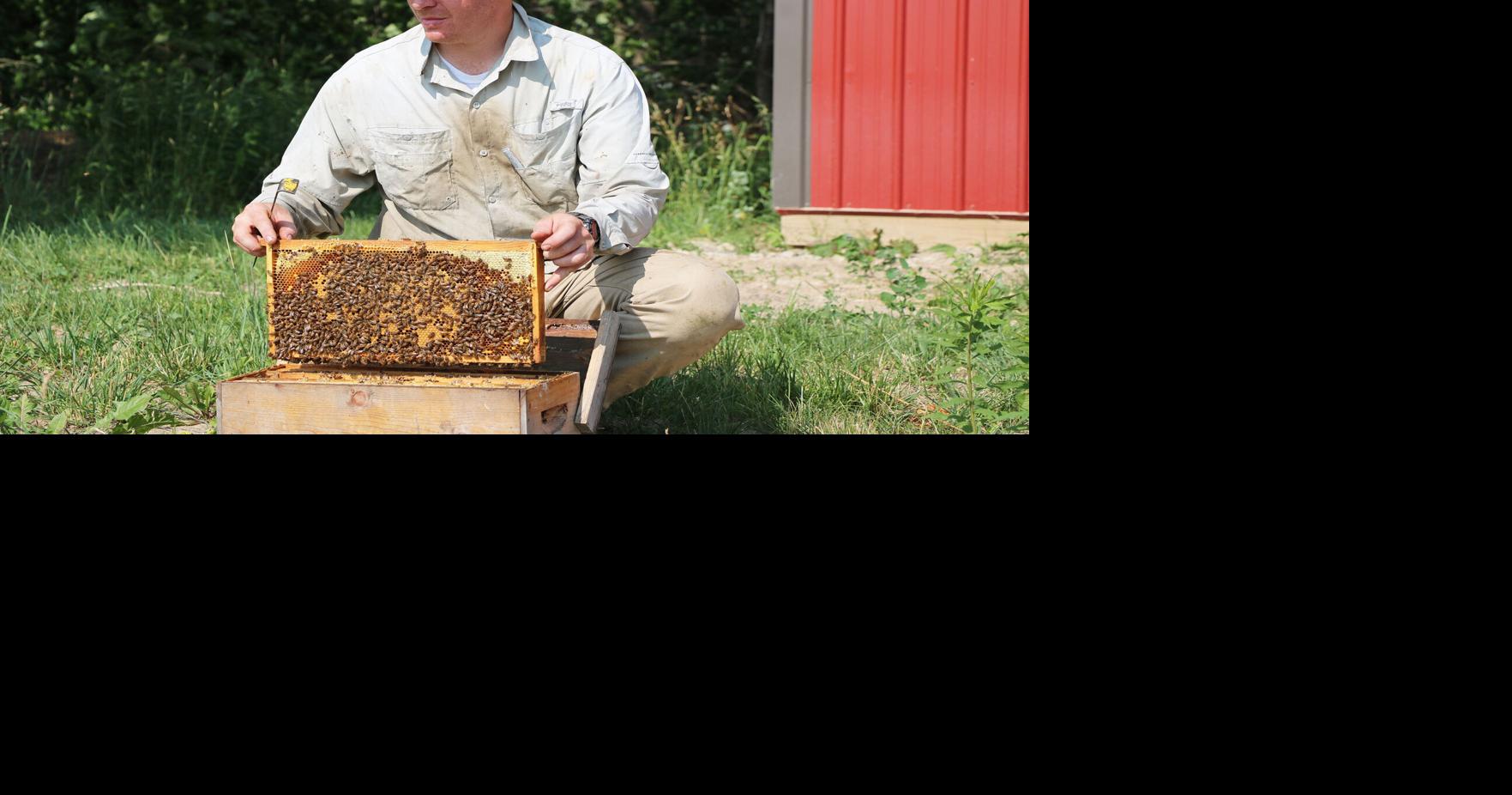 Mitchell’s Honey Company works to increase health of bees | News ...