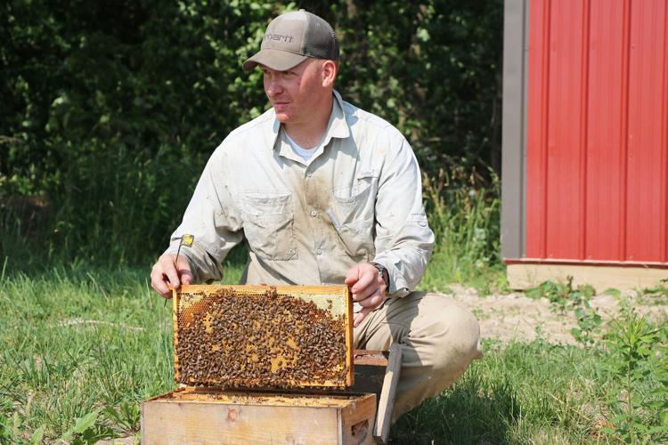Mitchell’s Honey Company works to increase health of bees | News ...
