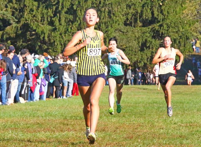 PREP CROSS COUNTRY: Top boys, girls to keep track of at New Prairie ...