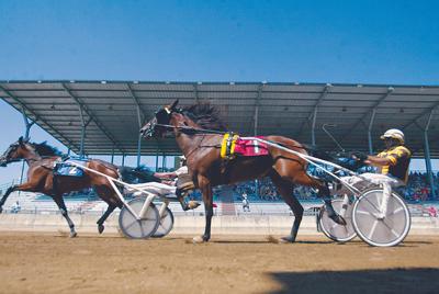 harness racing fields