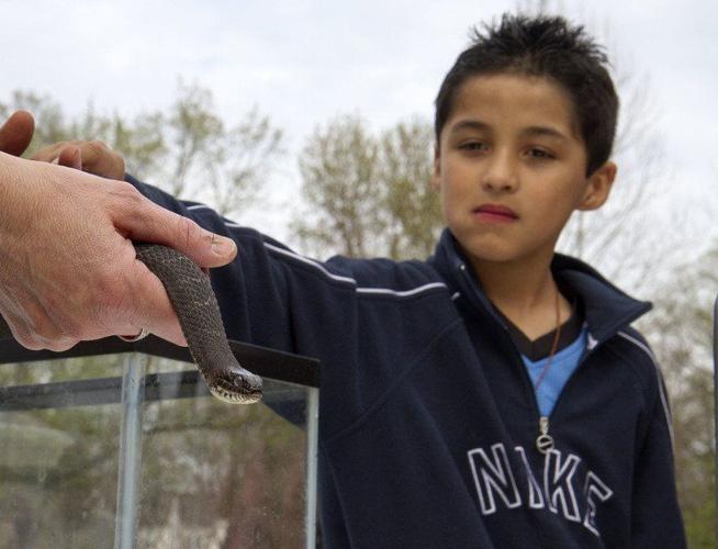 Hundreds come out to celebrate Arbor Day in Goshen | Local News ...