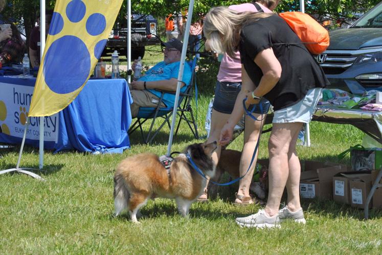 Dogapalooza offers all things dogs while enjoying Ox Bow park | News ...