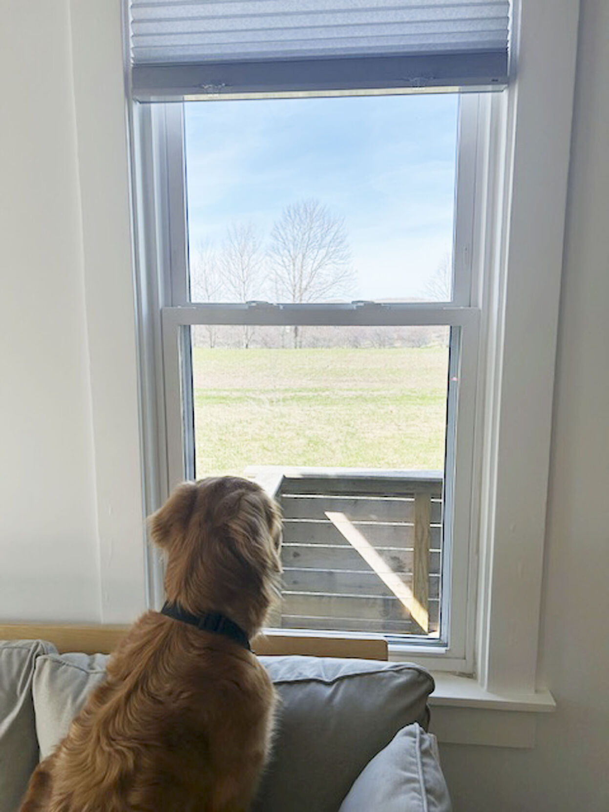 RACHEL SHENK: A happy place | News | goshennews.com