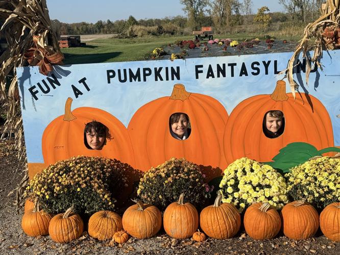Fashion Farm enters final week of delighting visitors | News ...