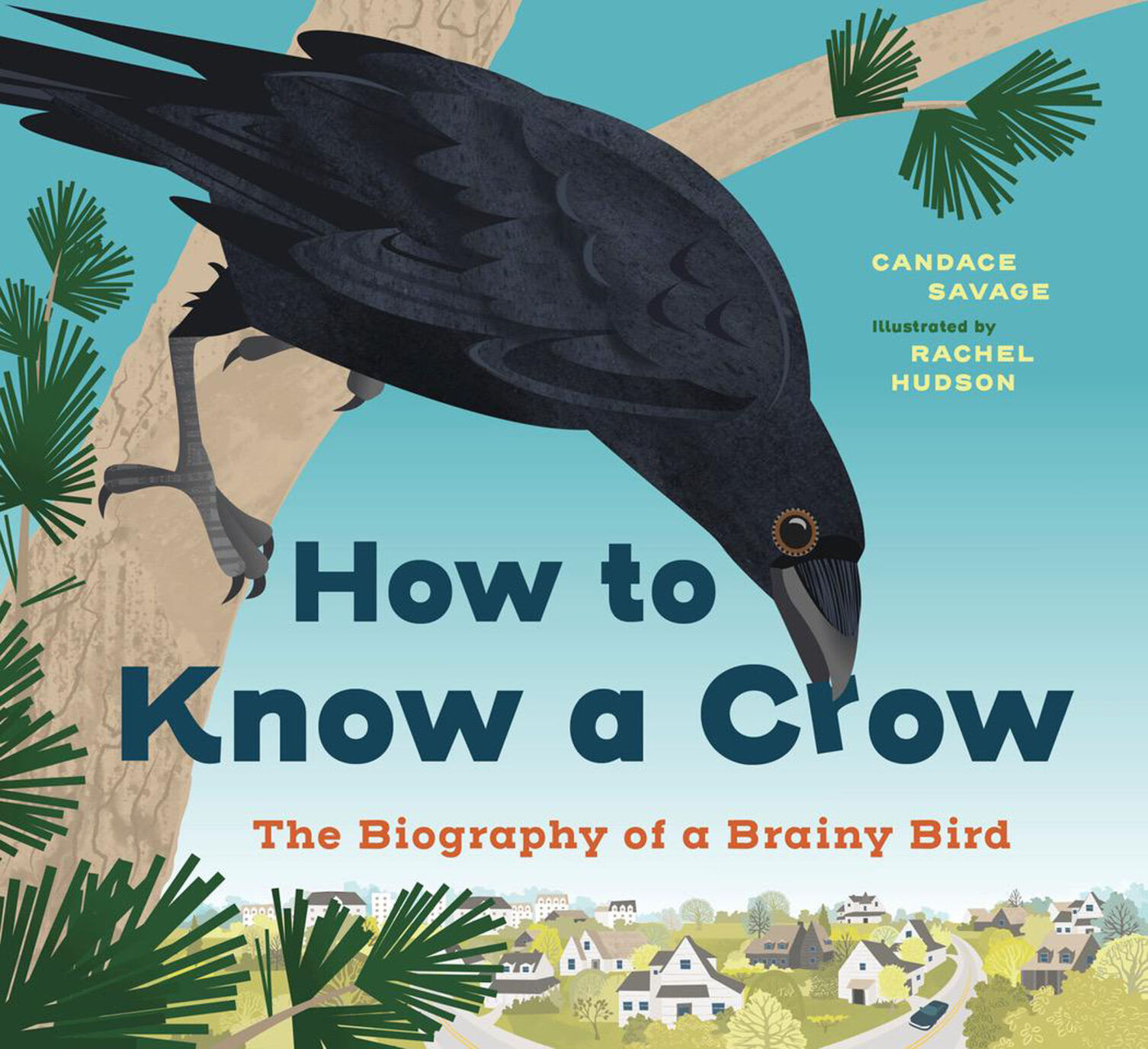 TERRI SCHLICHENMEYER: Real-life story of crows honest, dangerous | News ...