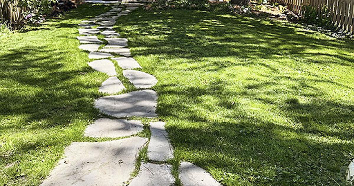 RACHEL SHENK: May brings out nature's lush colors | News | goshennews.com