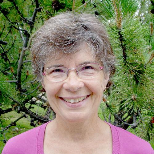 TERRI SCHLICHENMEYER: Real-life story of crows honest, dangerous | News ...