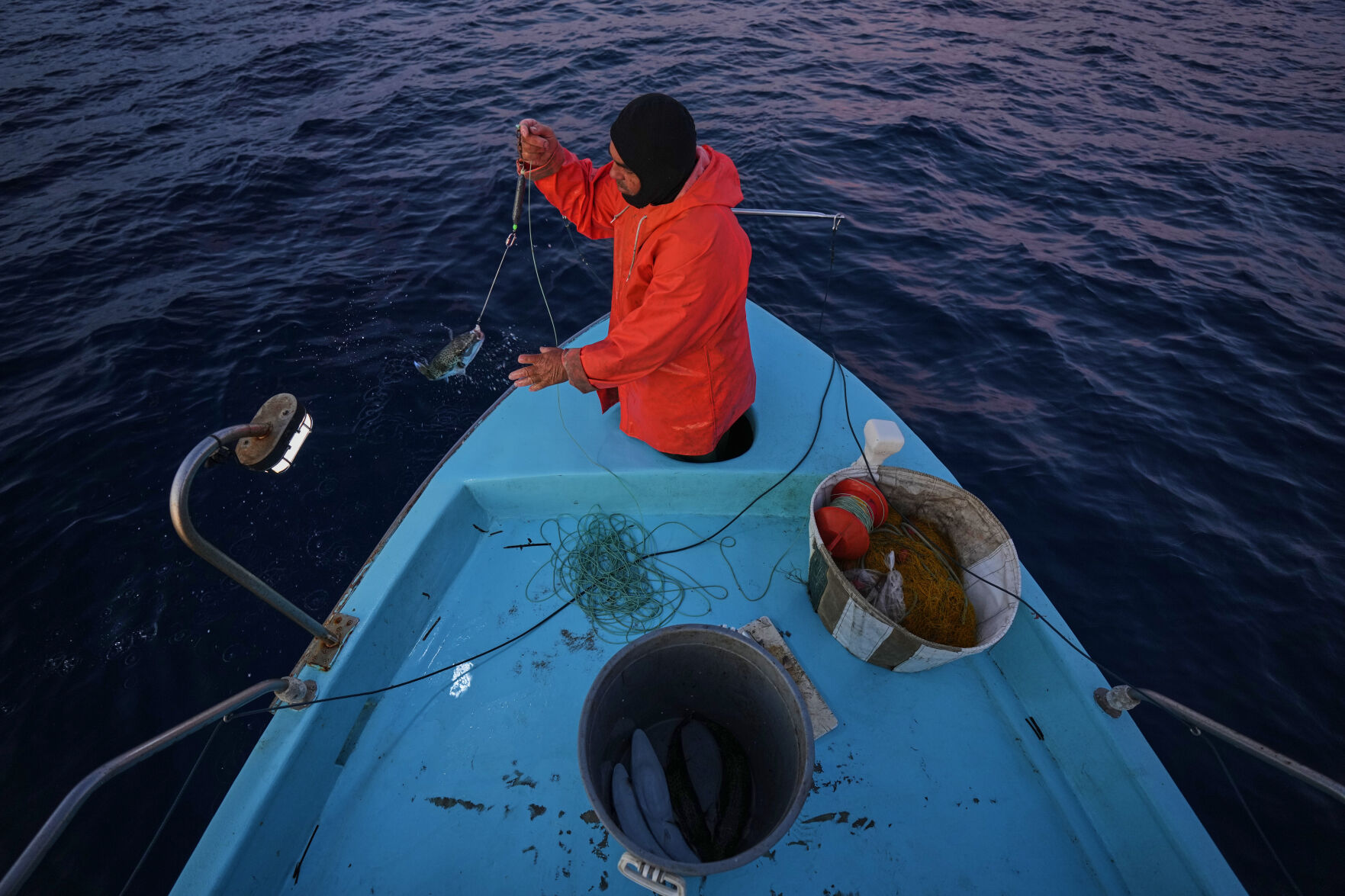 Cyprus Invasive Fish | National News | goshennews.com