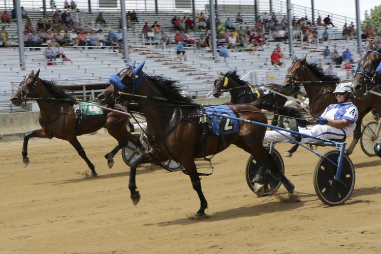 Cross earns 3,000th career harness racing victory | Local Sports ...