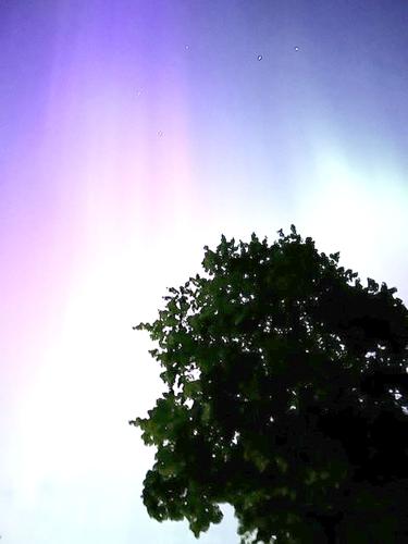 RACHEL SHENK: A magical night and a sky of possibilities | News ...