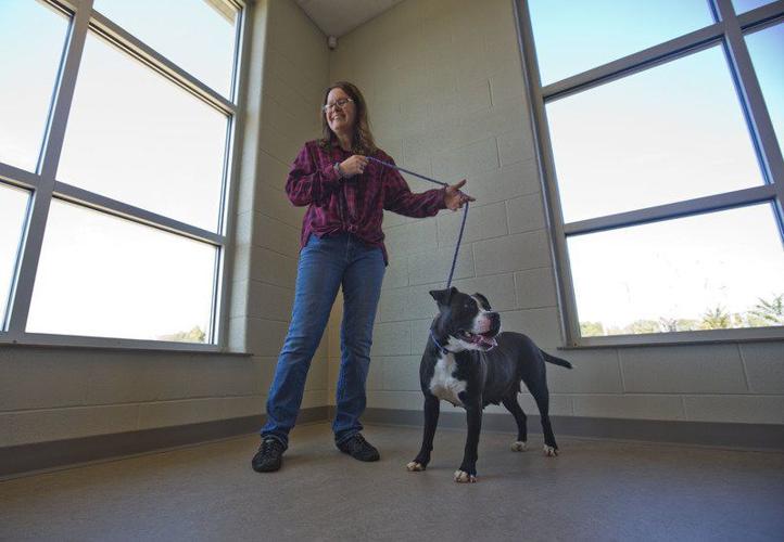 'Everything is better' at new Elkhart County Humane Society shelter ...