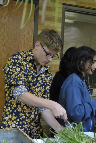 Concord kids love plants | News | goshennews.com