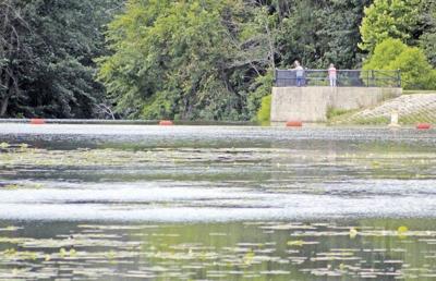 Estimated cost for dam pond dredging tops $3 million | Local News ...