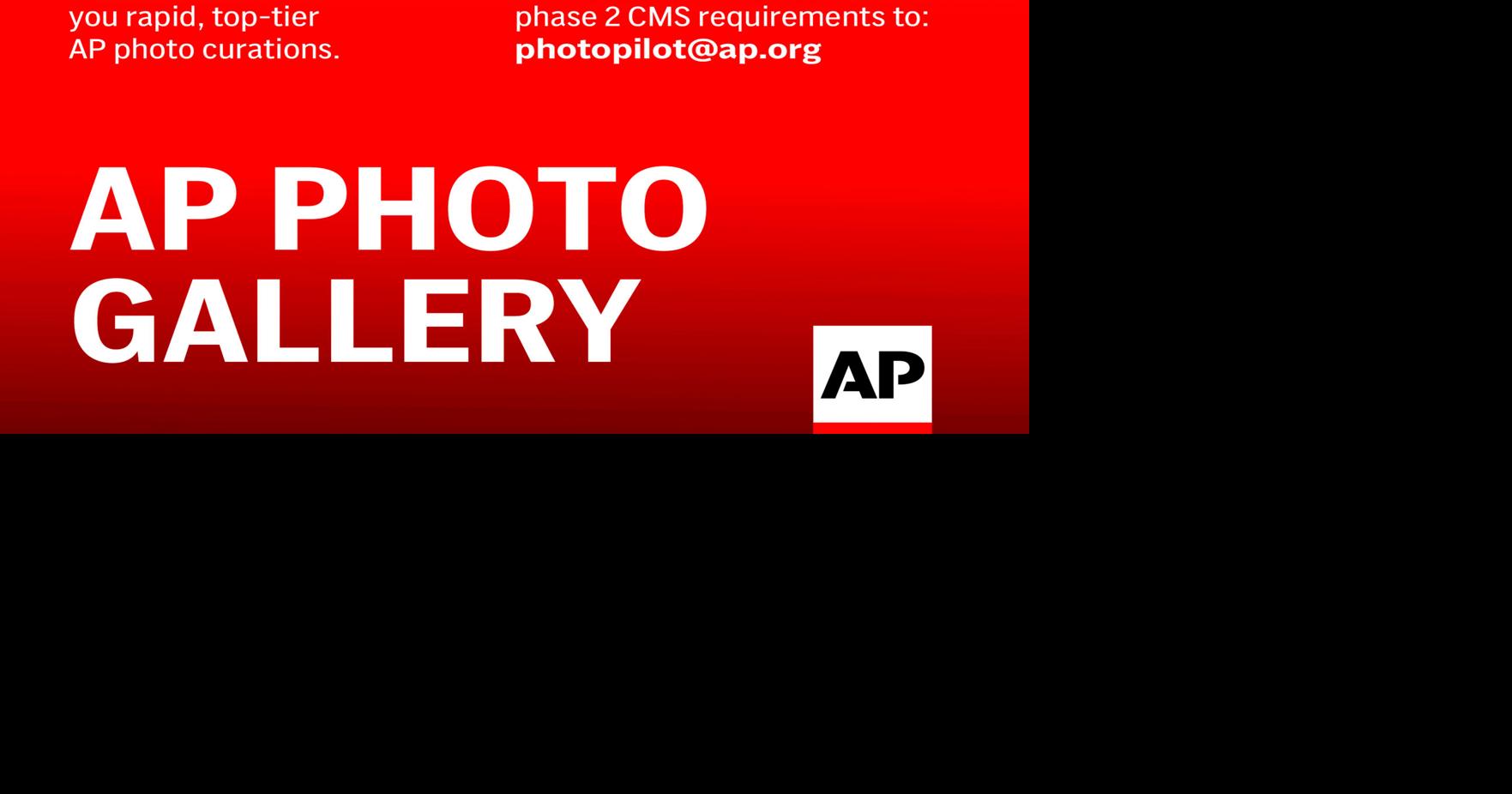 Photos show hippos introduced to Colombia by Pablo Escobar as the ...
