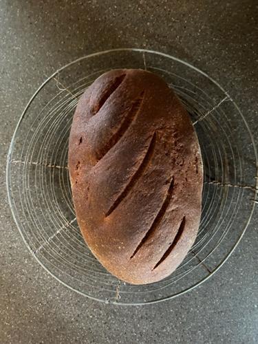 RACHEL SHENK: Memories of a father and of Heidelberg | News ...