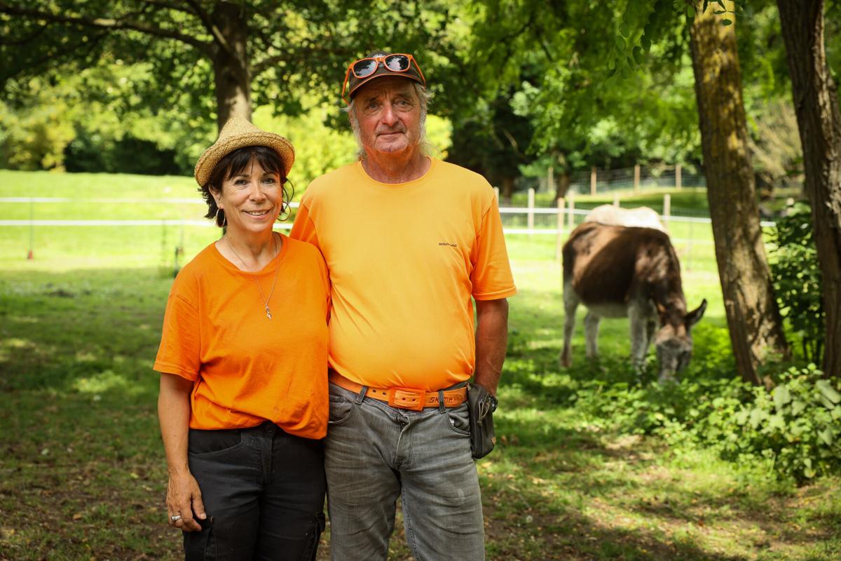 France Donkey Therapy | National News | goshennews.com