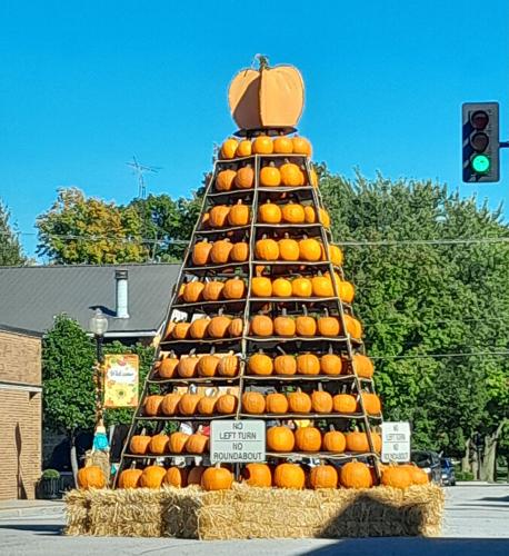 pumpkin tree